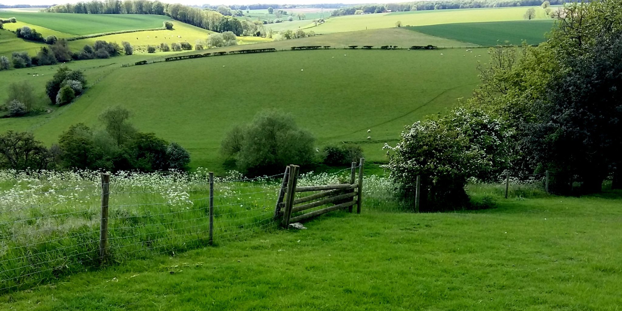 Famous Battlefields You Can Visit in the UK - Seven Swords